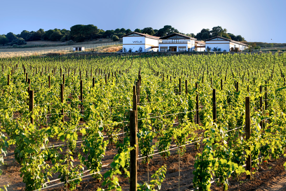 Everest Wines & Spirits